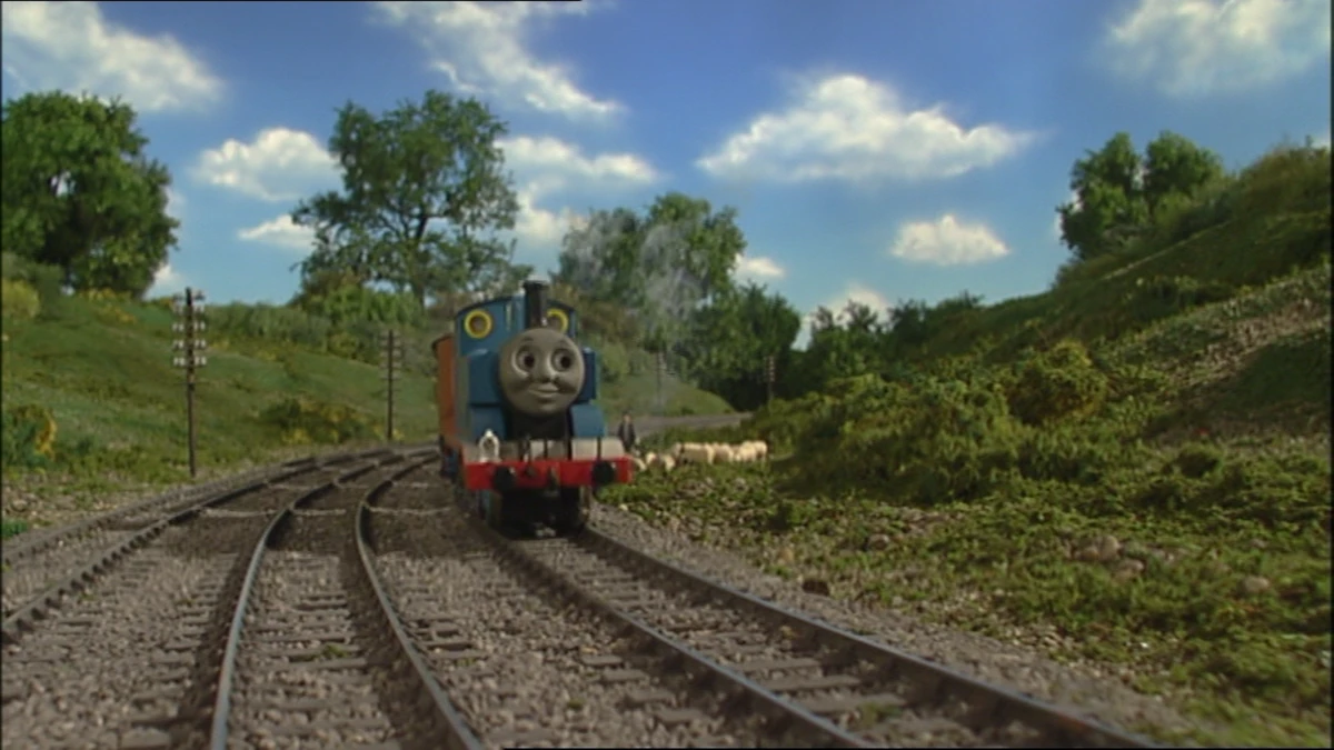 The Sheep Field | Thomas the Tank Engine Wiki | Fandom