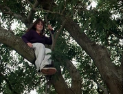 Lily/Gallery | Thomas the Tank Engine Wiki | Fandom