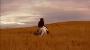 Horses (T&F)/Gallery | Thomas the Tank Engine Wiki | Fandom