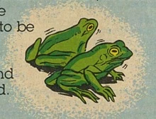 Amphibians (T&F) | Thomas the Tank Engine Wiki | Fandom