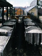 BoCo the Diseasel (Buzz Book) | Thomas the Tank Engine Wiki | Fandom