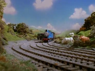 The Cow Field (T&F)/Gallery | Thomas the Tank Engine Wiki | Fandom