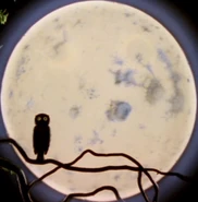 Multiverse | Thomas The Tank Engine Community Central Wiki | Fandom