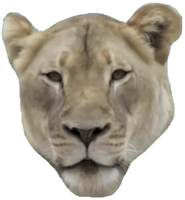 Mr. Lion | Through The Woods Wiki | Fandom