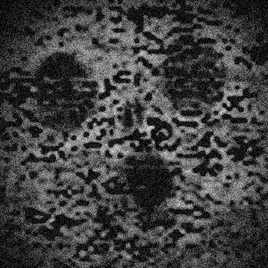 Dimensional Refraction Variant | Tuantu's lobotomization branches Wiki | Fandom