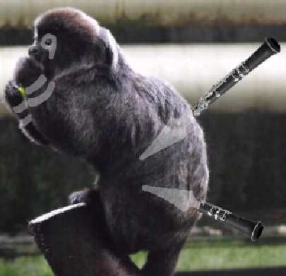 Bonoboes | Tuba Warriors Wiki | Fandom