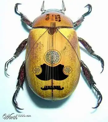 Stringed Beetle | Tuba Warriors Wiki | Fandom