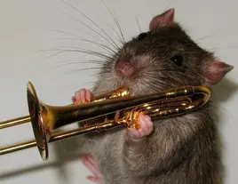 Trumpat | Tuba Warriors Wiki | Fandom