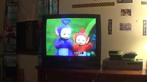 Colours: Yellow | The Teletubbies And Their Fellow Friends Wiki | Fandom