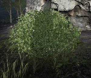Stick | TubZ Wiki | Fandom