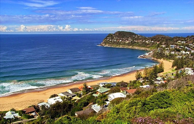 Orca Cove | Tuckerverse Wiki | Fandom