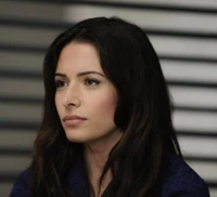 Parisa Golzar | Tuckerverse Wiki | Fandom