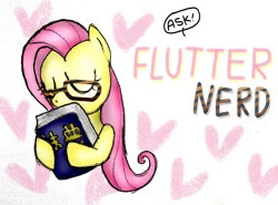 Ask Flutter-nerd! | 한국 텀블러 포니 위키 | Fandom