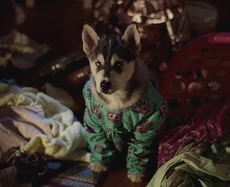 Daniel Lockwood | Tumblr Roleplay Wiki | Fandom