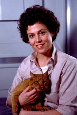 Meredith Holloway | Tumblr Roleplay Wiki | Fandom