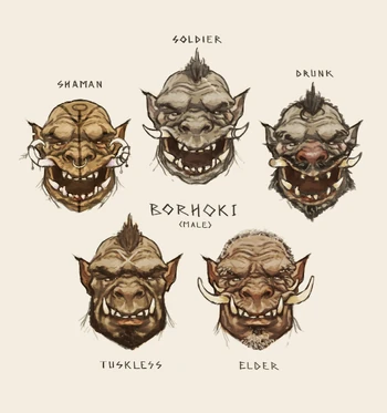 Borhoki | Tumiun Wiki | Fandom