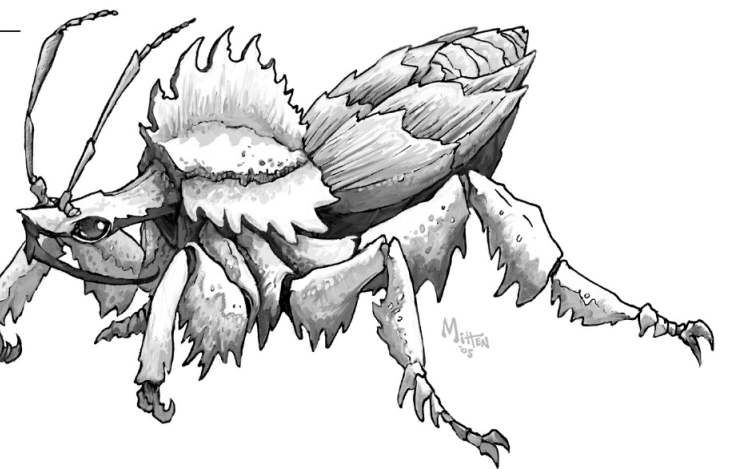 Assassin Bug | Tunwic Wiki | Fandom