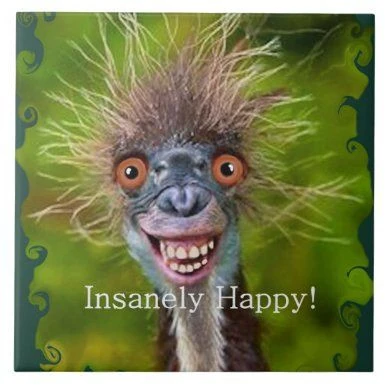 Bob | Tupper Archives Wiki | Fandom