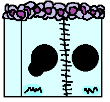 Sadboi | Tuppocalypse Wiki | Fandom