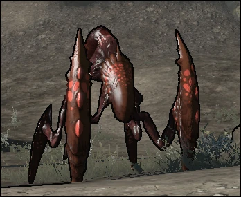 Digdig | Turango Wiki | Fandom