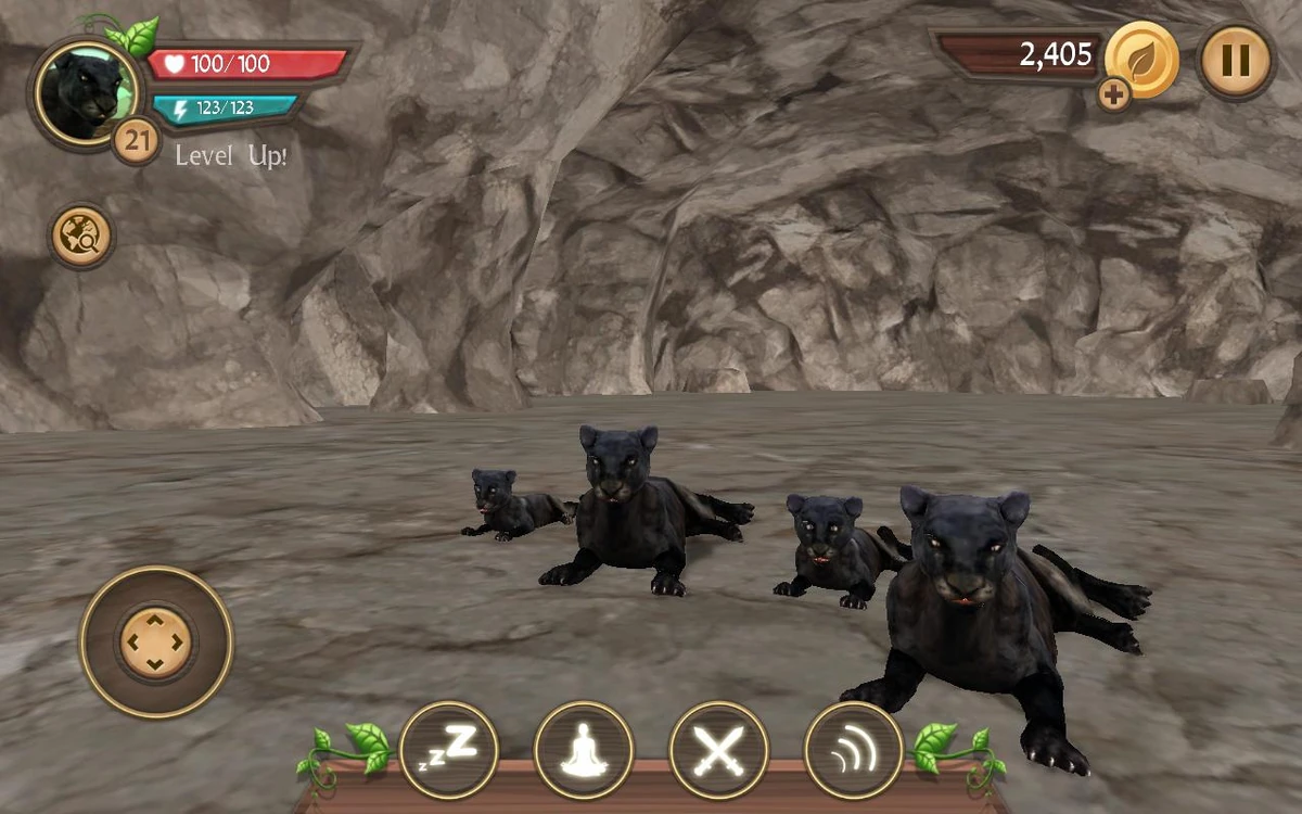 Panther | Turbo rocket games Wiki | Fandom