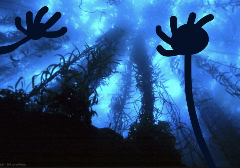 The perfect hand | Ture of the blue Charlie Wiki | Fandom