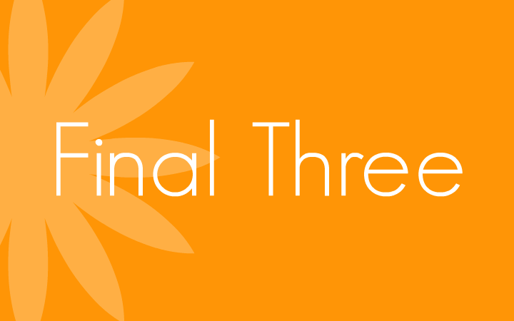 Final Three | Turney Time Big Brother Wiki | Fandom