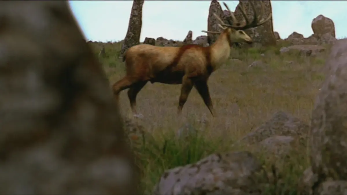 Irish Elk | Turok: Lord of the Jungle Wiki | Fandom