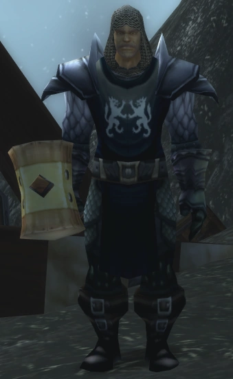 Guard Captain Marson | Turtle WoW Wiki | Fandom