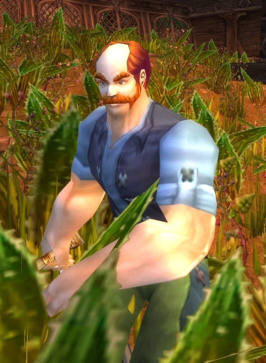 Shipworker Calub | Turtle WoW Wiki | Fandom