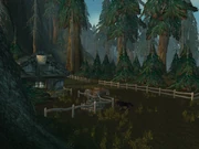 Silverpine Forest | Turtle WoW Wiki | Fandom