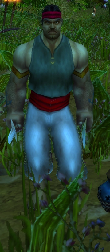 Southsea Buccaneer | Turtle WoW Wiki | Fandom