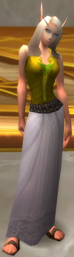 High Elf Refugee | Turtle WoW Wiki | Fandom