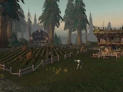 Silverpine Forest | Turtle WoW Wiki | Fandom