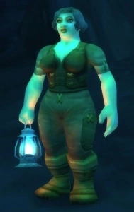 Merrin Rockweaver | Turtle WoW Wiki | Fandom