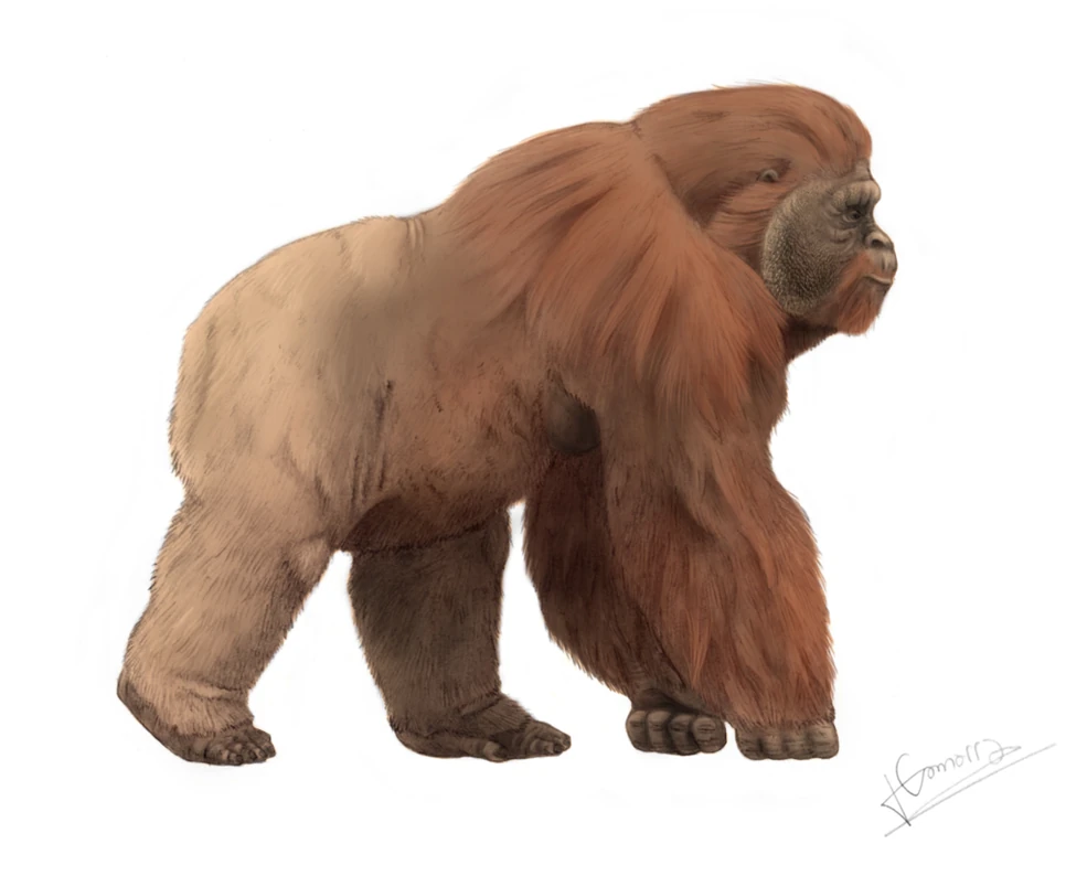 Creatlach Gigantopithecus Blacki Endangered: New Species By Grand