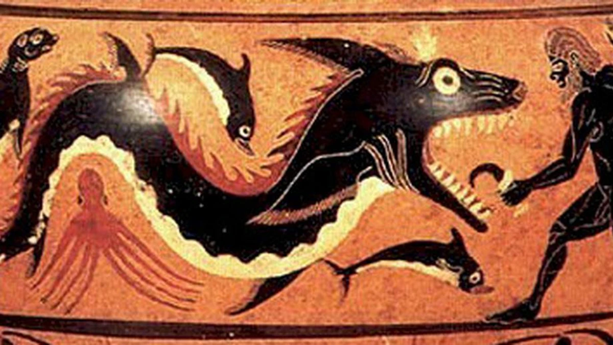 Cetus | Turtledove | Fandom