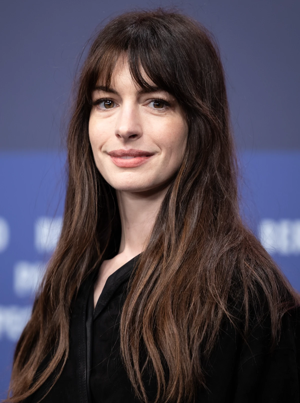Anne Hathaway (actor) | Turtledove | Fandom