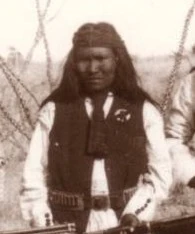 Chappo | Turtledove | Fandom