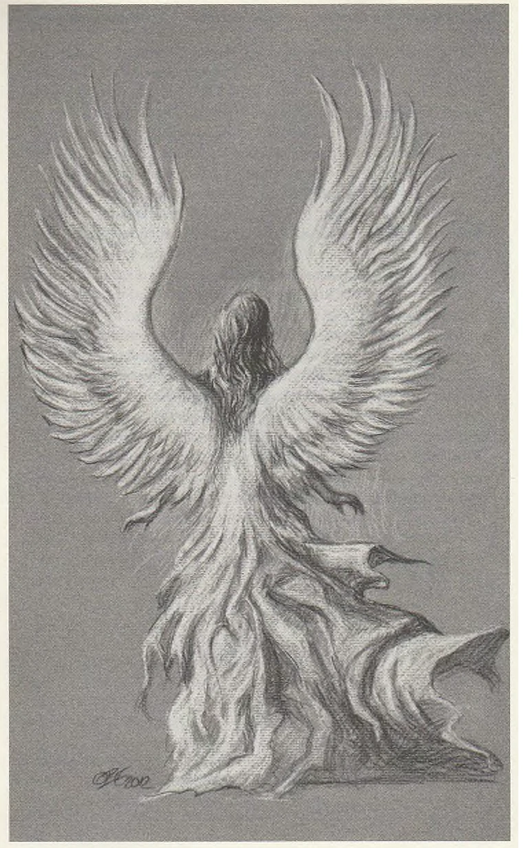 Category:Avian Characters | Turtledove | Fandom