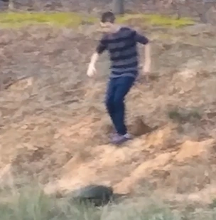 Billton the Turtle | Turtlelover_23 Wikia | Fandom