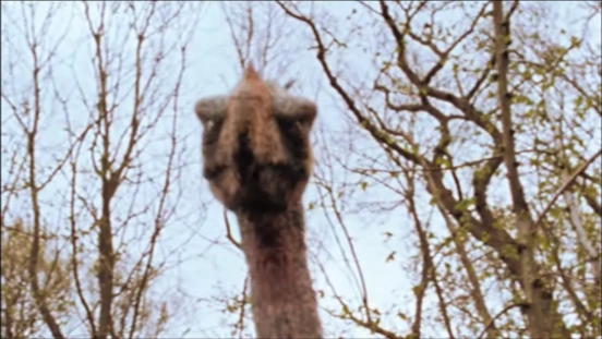 Primeval Terror Birds