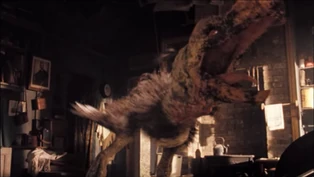 Terror Bird (Primeval) | TV Dinos Wiki | Fandom