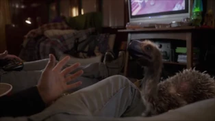 Terror Bird (Primeval) | TV Dinos Wiki | Fandom