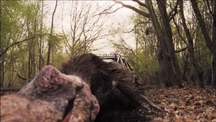 Terror Bird (Primeval) | TV Dinos Wiki | Fandom