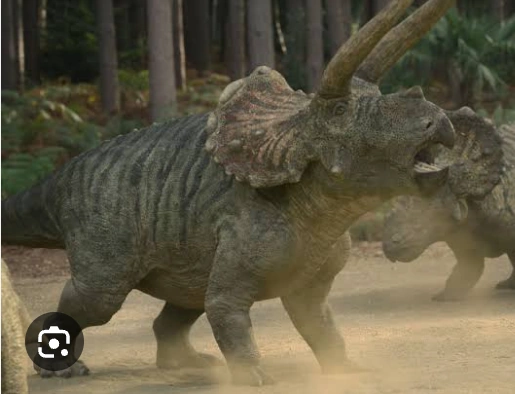 Big John (2024 TV series) | TV Ideas Wiki | Fandom