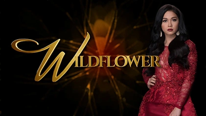 Wildflower (TV series) | TV Philippines Wiki | Fandom
