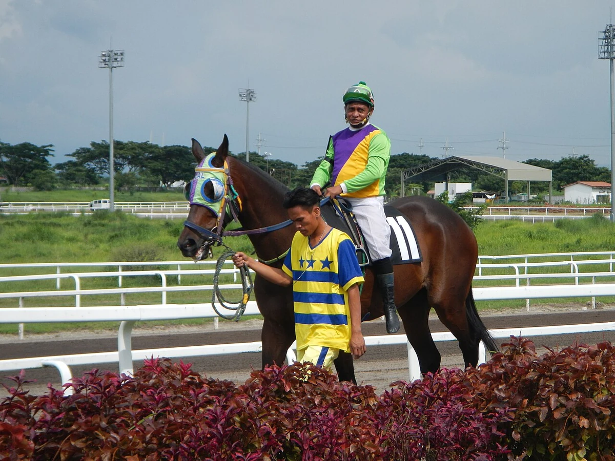 Horse racing in the Philippines | TV Philippines Wiki | Fandom