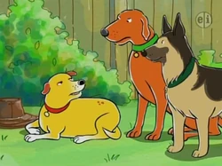 PBS (December 21st 2011) | TV Schedule Archive Wiki | Fandom