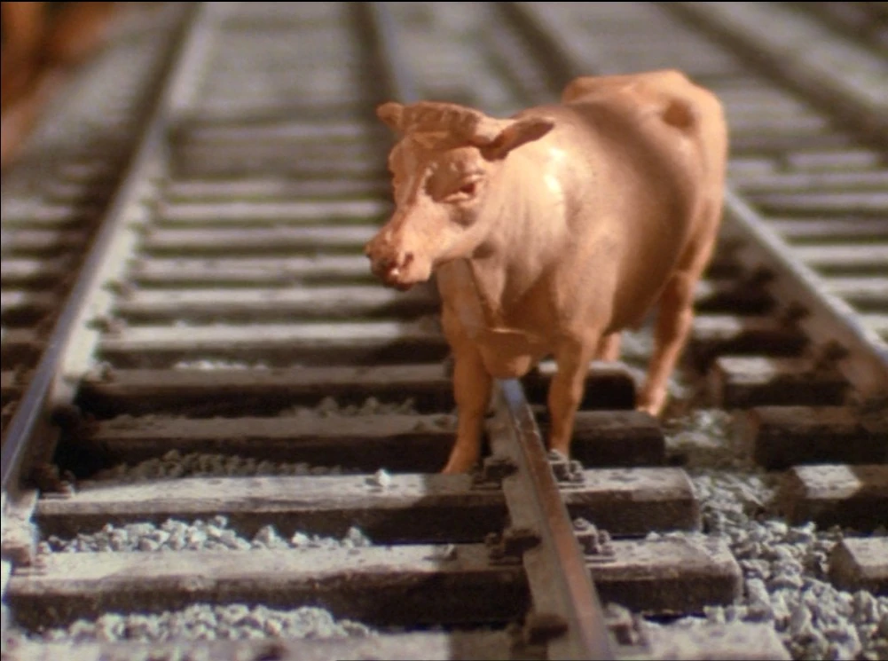 Cows | TV Wiki | Fandom